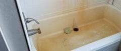 SpringWell Whole House Well Water Filter System Review (WS) (May 2026)
