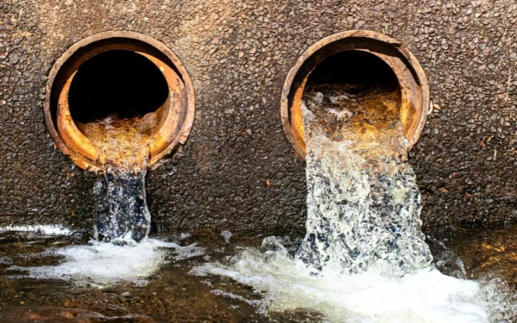 Lead In Water (Everything You Need To Know)